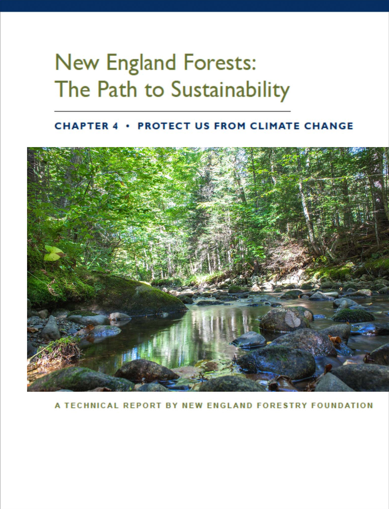 The Path to Sustainability Archives - New England Forestry Foundation New England Forestry ...