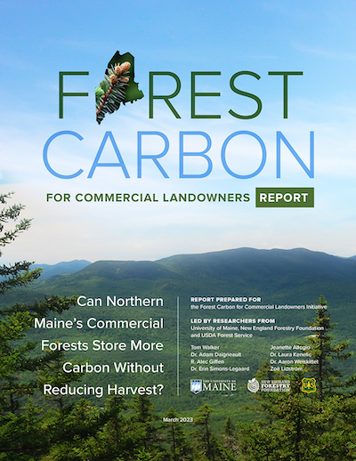 Forest Management Archives - New England Forestry Foundation New ...