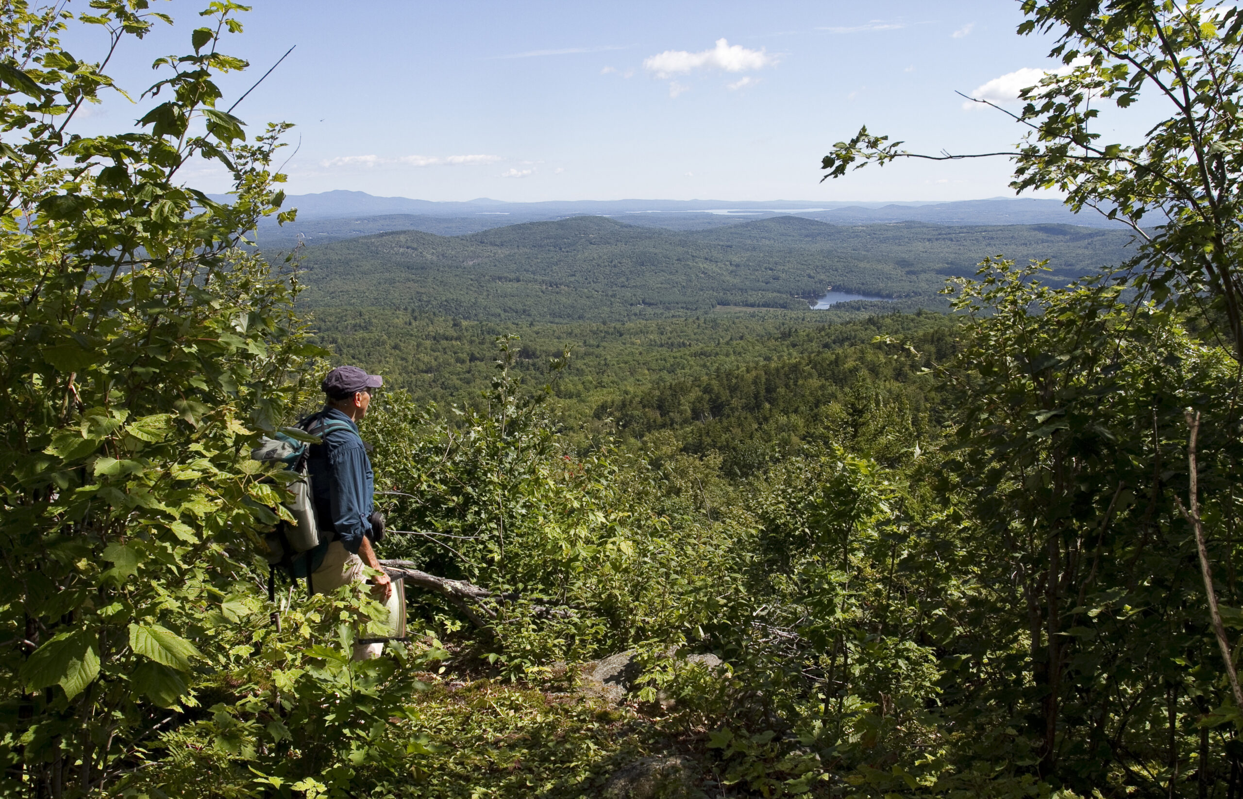 New England Trail Maps - Fun Things to Do in the Forest New England ...