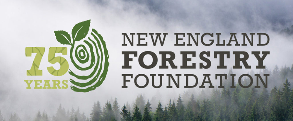 75th Anniversary Archives - New England Forestry Foundation New England ...