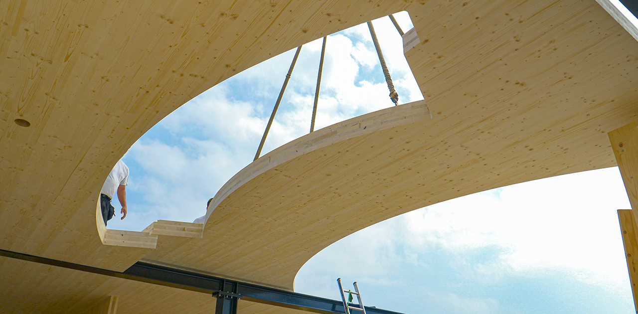 Forest-to-Cities Climate Challenge Archives - New England Forestry Foundation New England ...