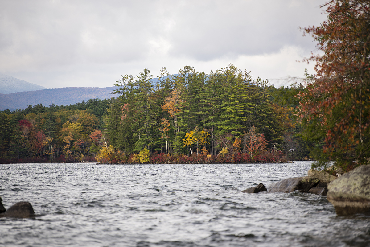 Chamberlain Reynolds Memorial Forest - New England Forestry Foundation ...