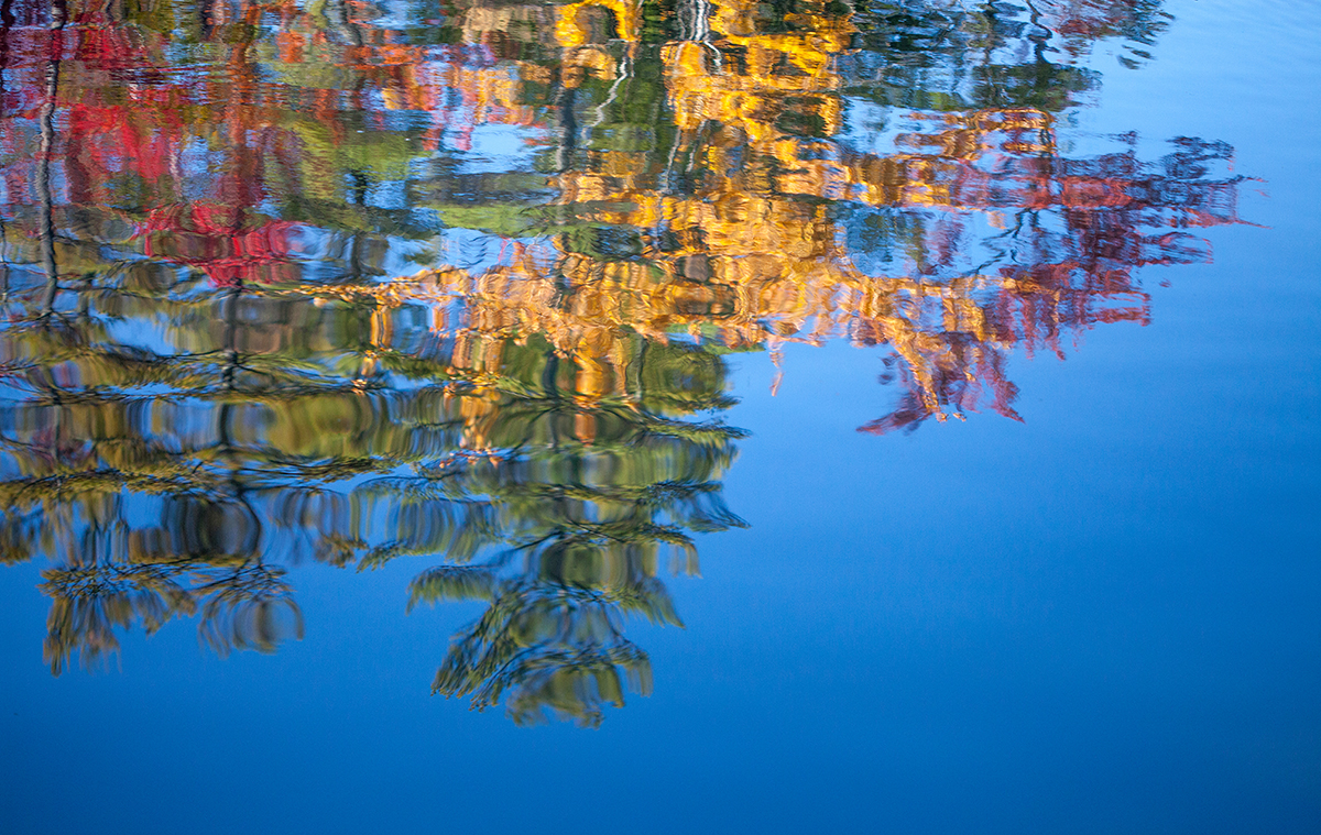 Chamberlain Reynolds Memorial Forest - New England Forestry Foundation ...