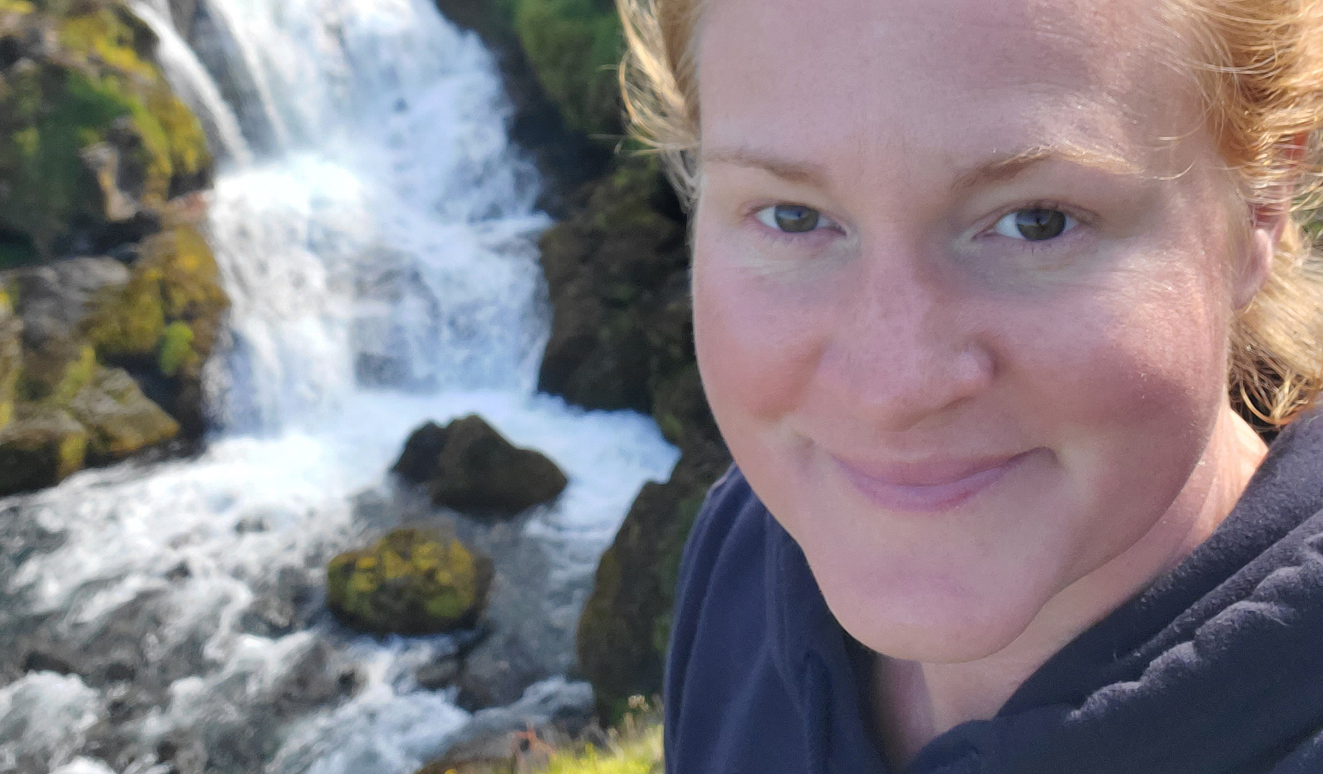 Growing Climate-Smart Forestry Expertise, NEFF Adds Seven to Staff New ...