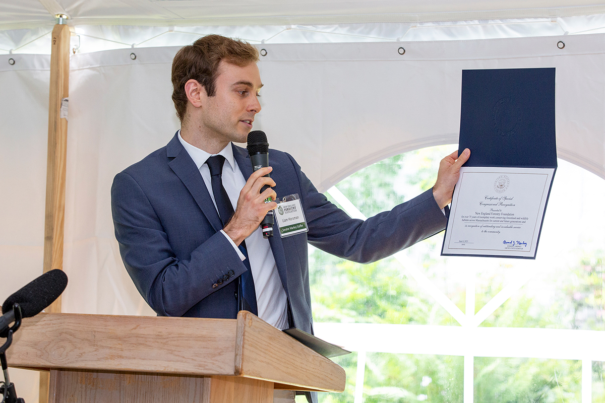 Senators Markey and Warren Honored as NEFF Forest Champions - New ...