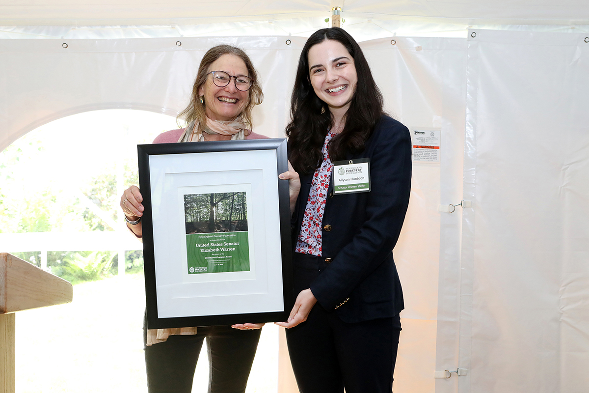 Senators Markey and Warren Honored as NEFF Forest Champions - New ...
