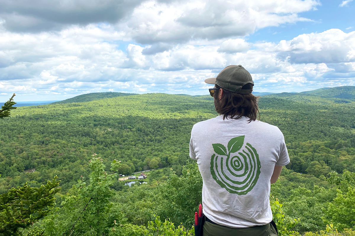 New England Climate-Smart Commodities Program Now Enrolling Landowners ...