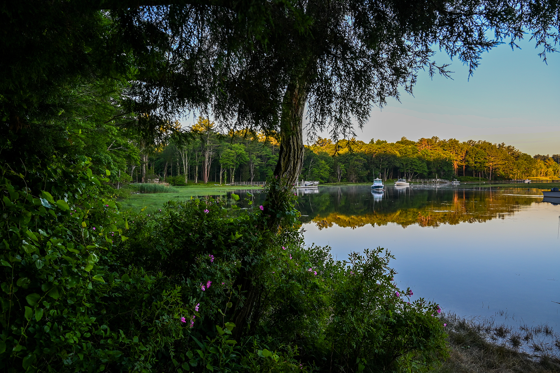 Nelson Memorial Forest - New England Forestry Foundation New England ...
